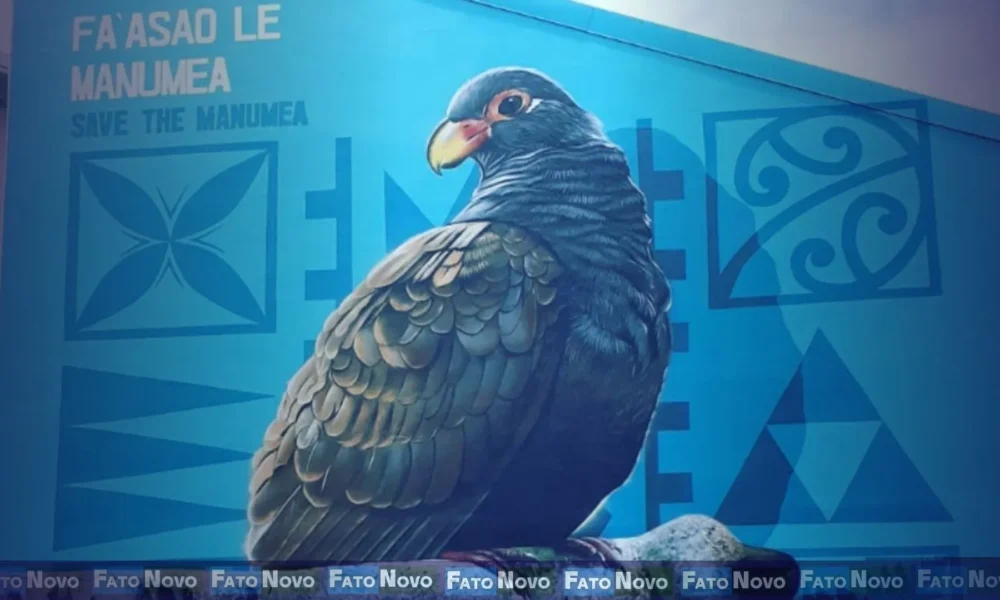 Parente vivo mais próximo do dodô é avistado em Samoa e traz esperança ...