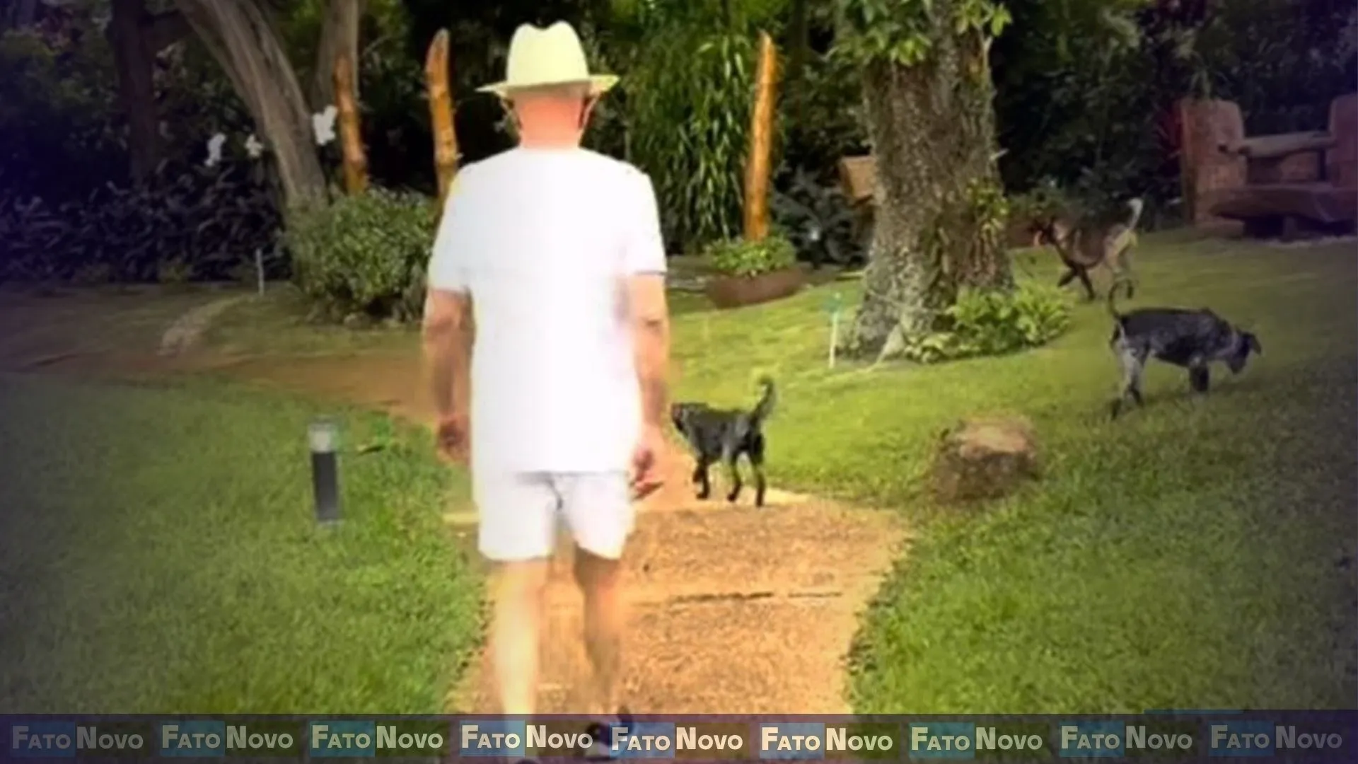 Maior cajueiro do mundo vira unidade de conservação no Rio Grande do ...